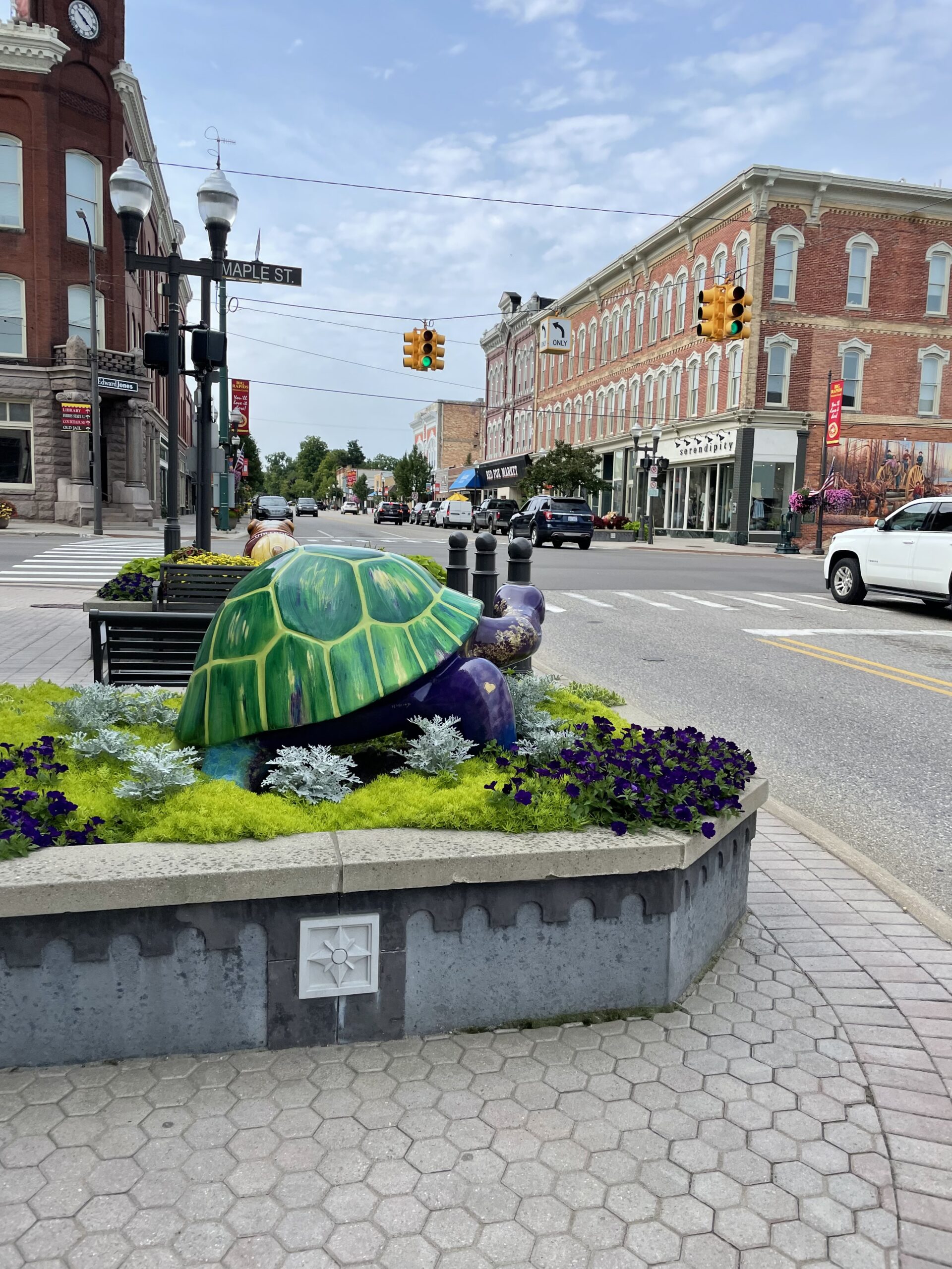 The Local Element Mid Michigan